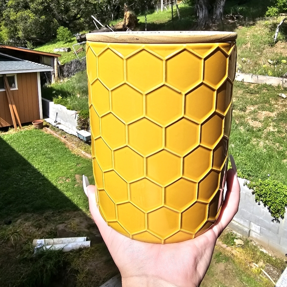 Storage & Organization | Queen Bee Canister | Poshmark